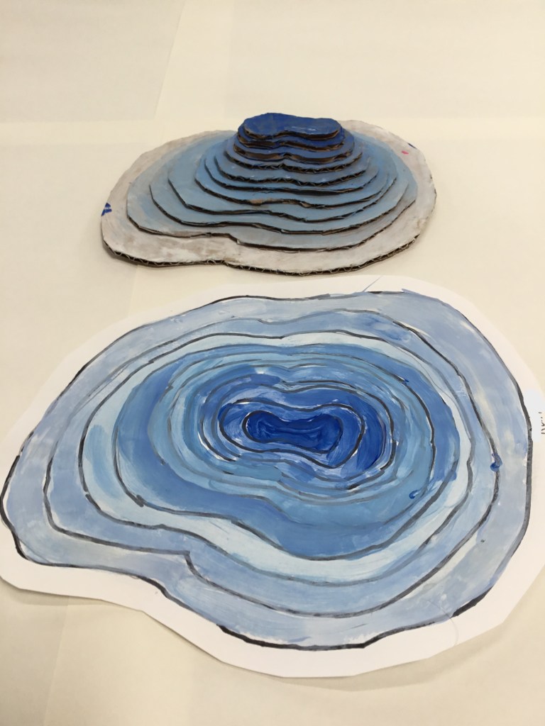 Topographic Models~ Year 5 - Primary School Art